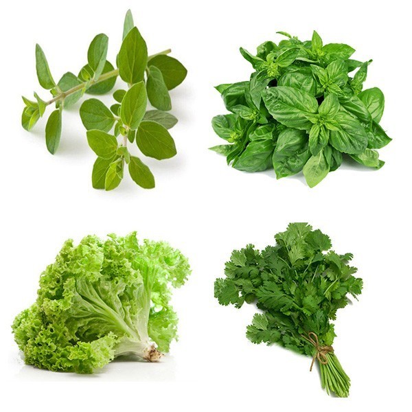 Organic Green For Super Health - Blue Farms
