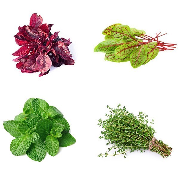 Organic combo of herbs - Blue Farms